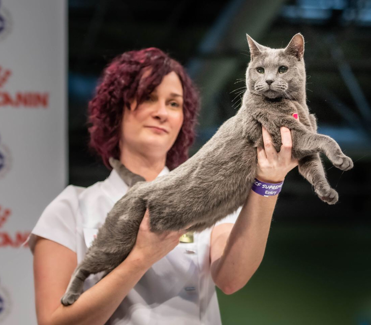 Supreme Cat Show 2019 | Melkelter Cats